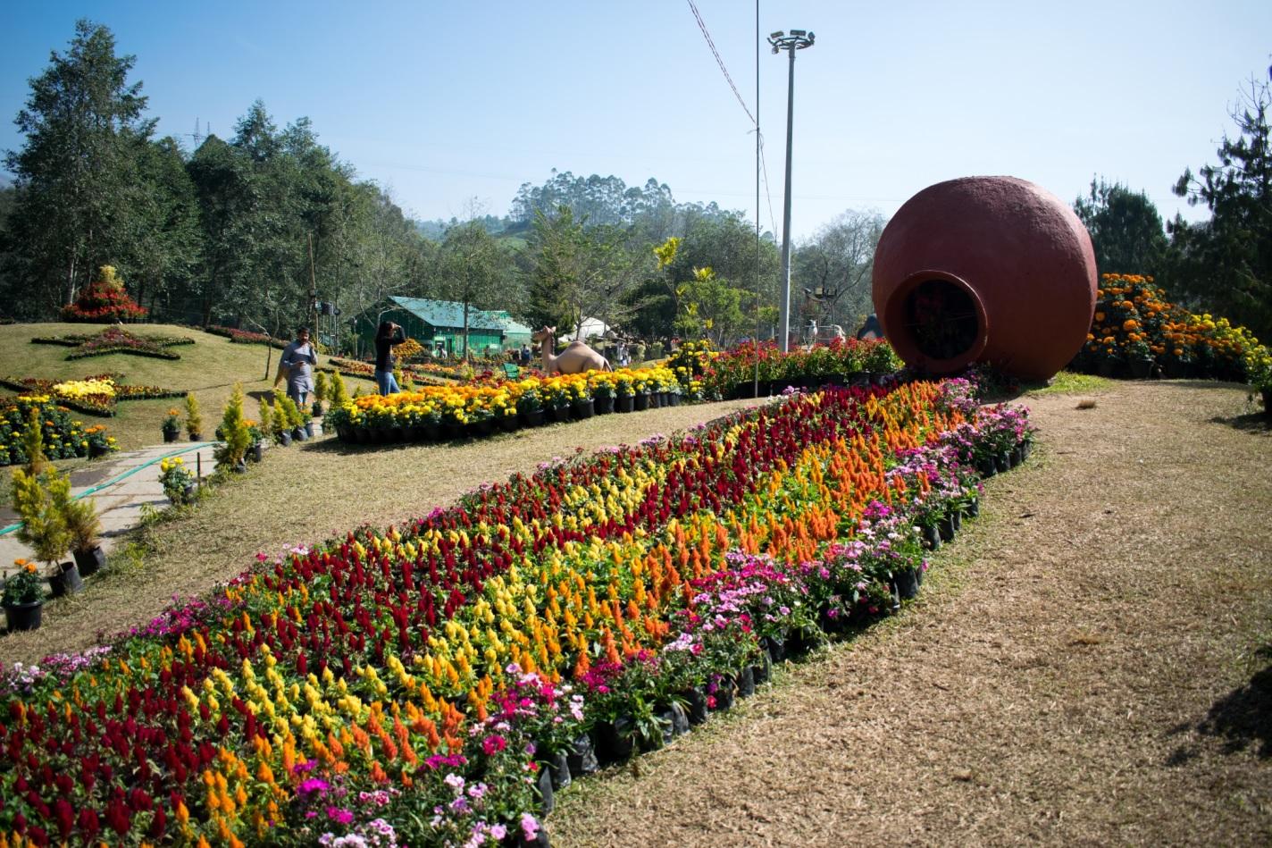 Voyage à Munnar : Guide des Meilleures Activités et Sites du Kerala