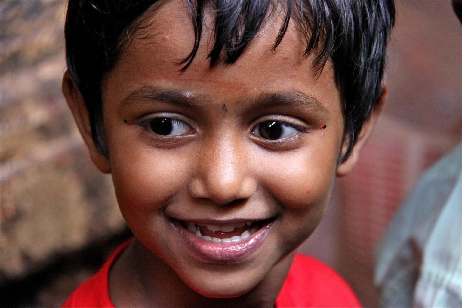 Que voir à Kochi – le meilleur de cette ville du Kerala, en Inde ...